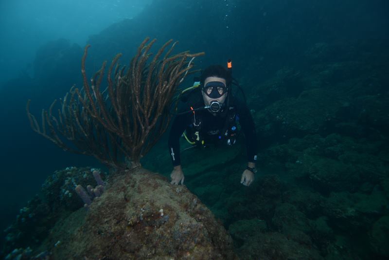 Buceo Autónomo – Centro de Actividades Subacuáticas Universidad Central ...